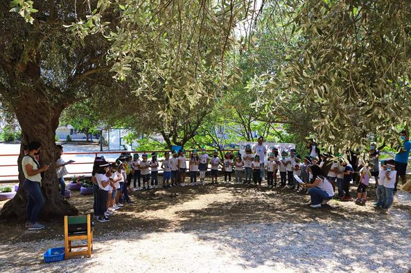 9ο Νηπιαγωγείο Καβάλας: Περιβαλλοντική δράση στον ελαιώνα – Καβάλα
